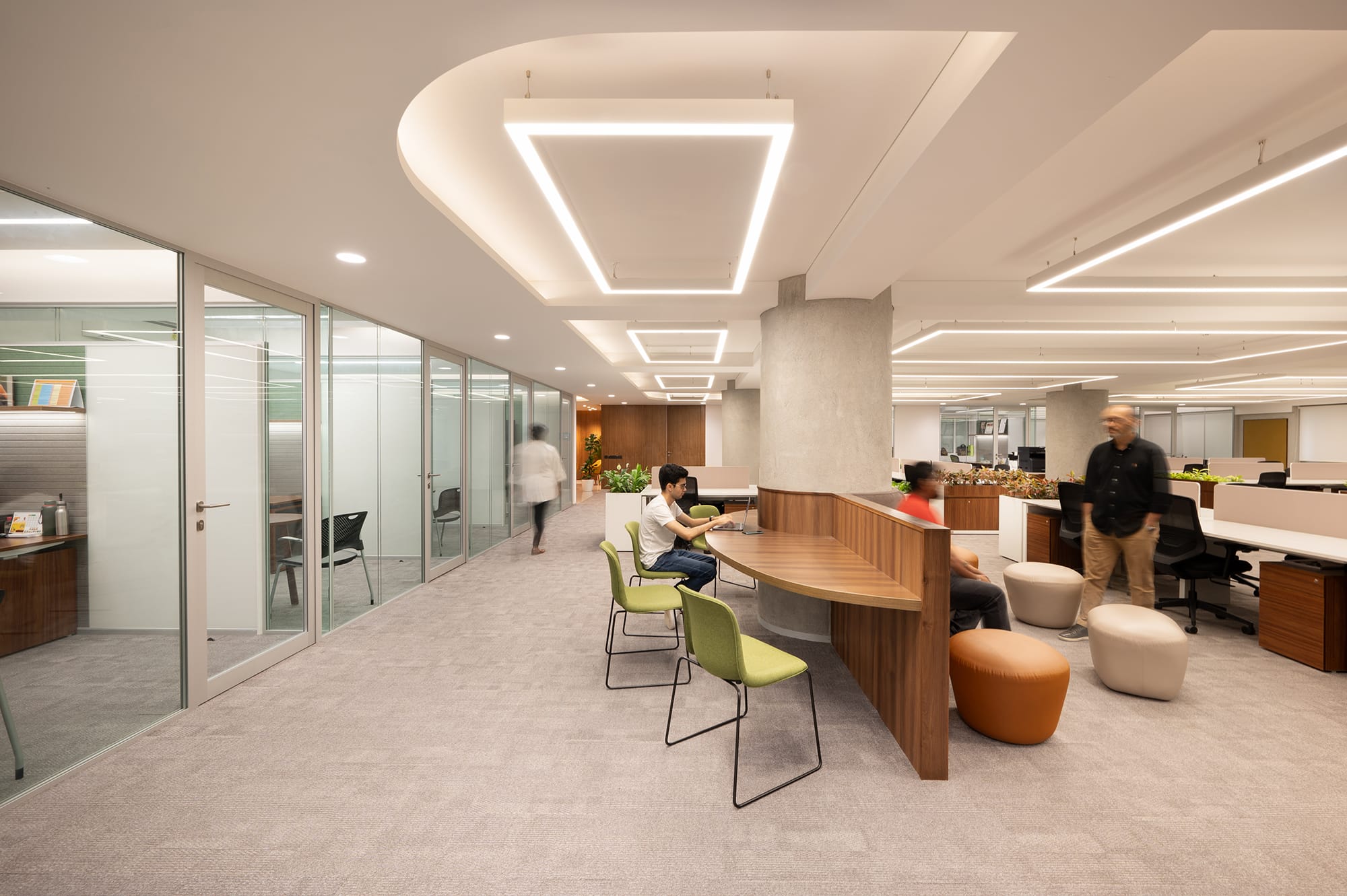 Mahyco - Alcove Designs