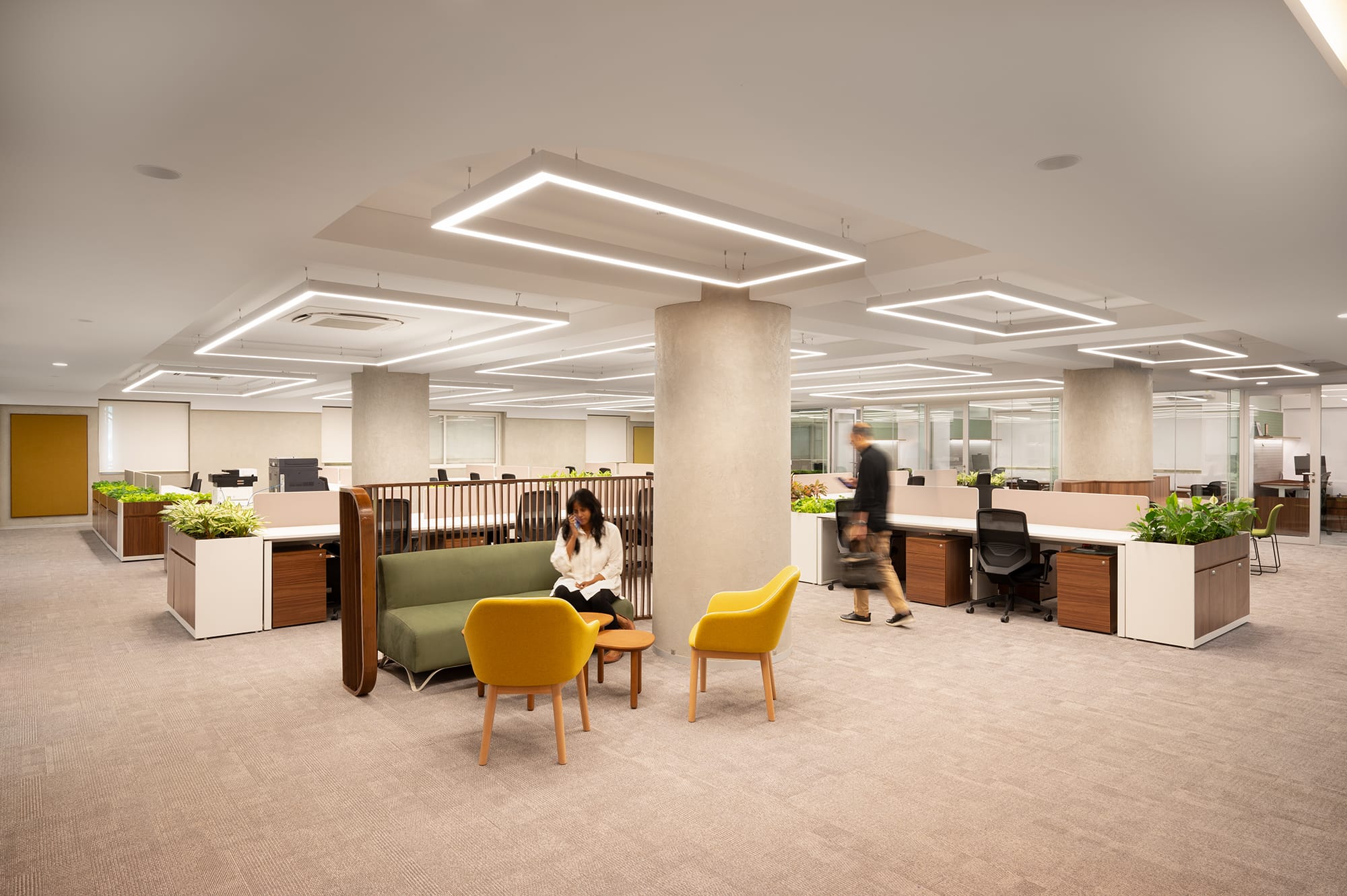 Mahyco - Alcove Designs